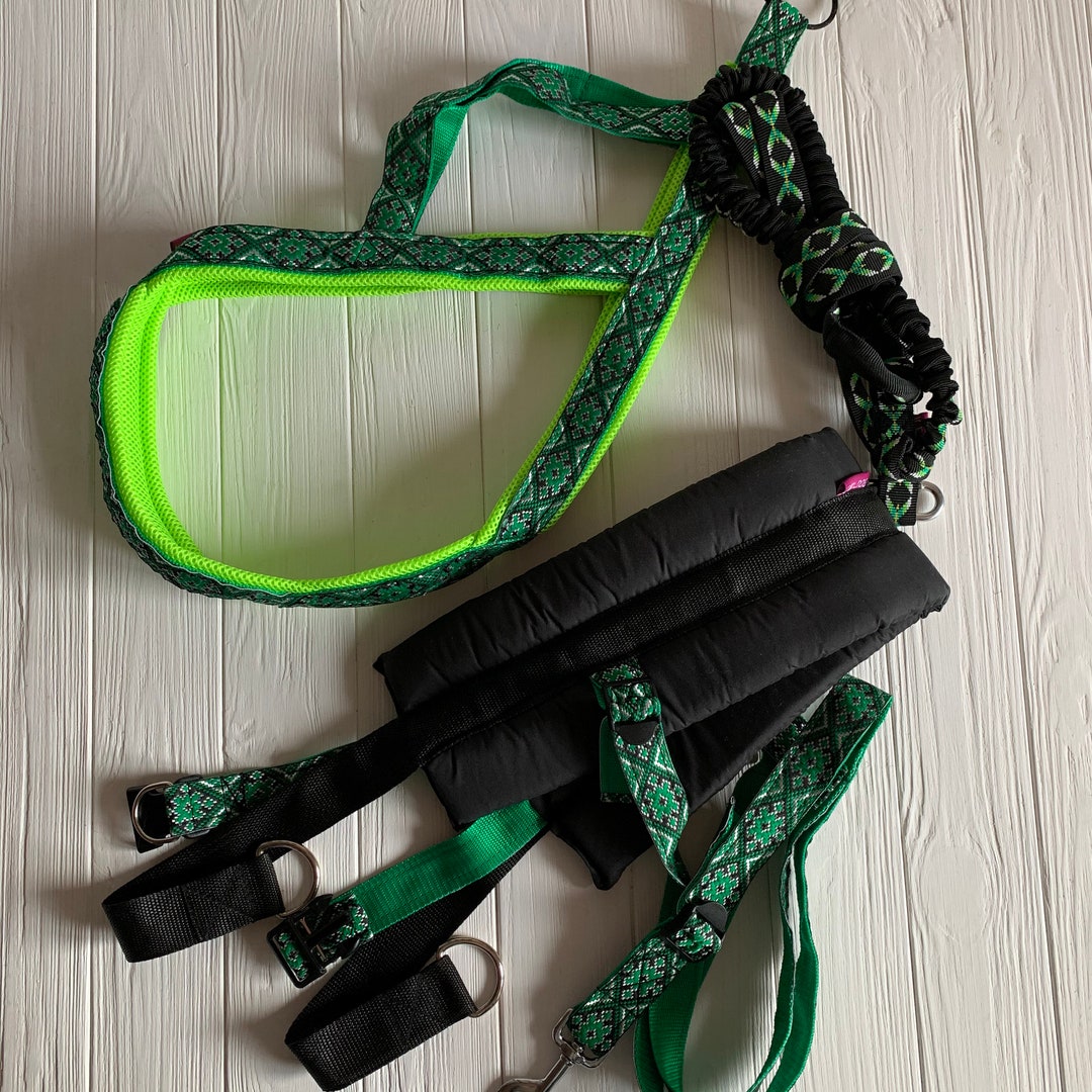 Canicross Set Sleddog Harness Tow Line Belt - Etsy