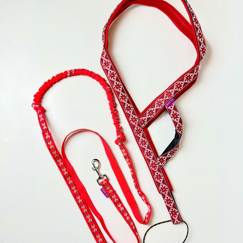 Bikejoring Tow Line Bungee Shock Absorber for Dog Lead for Two - Etsy