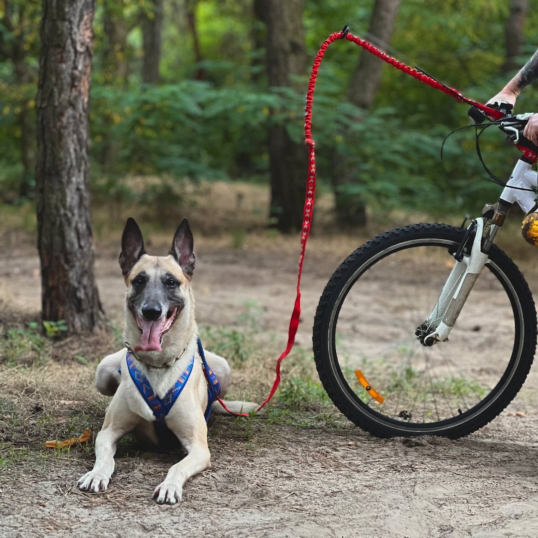 Bikejoring Antenna Bike Springer for Bikejoring Dog Scootering Bike Rod ...
