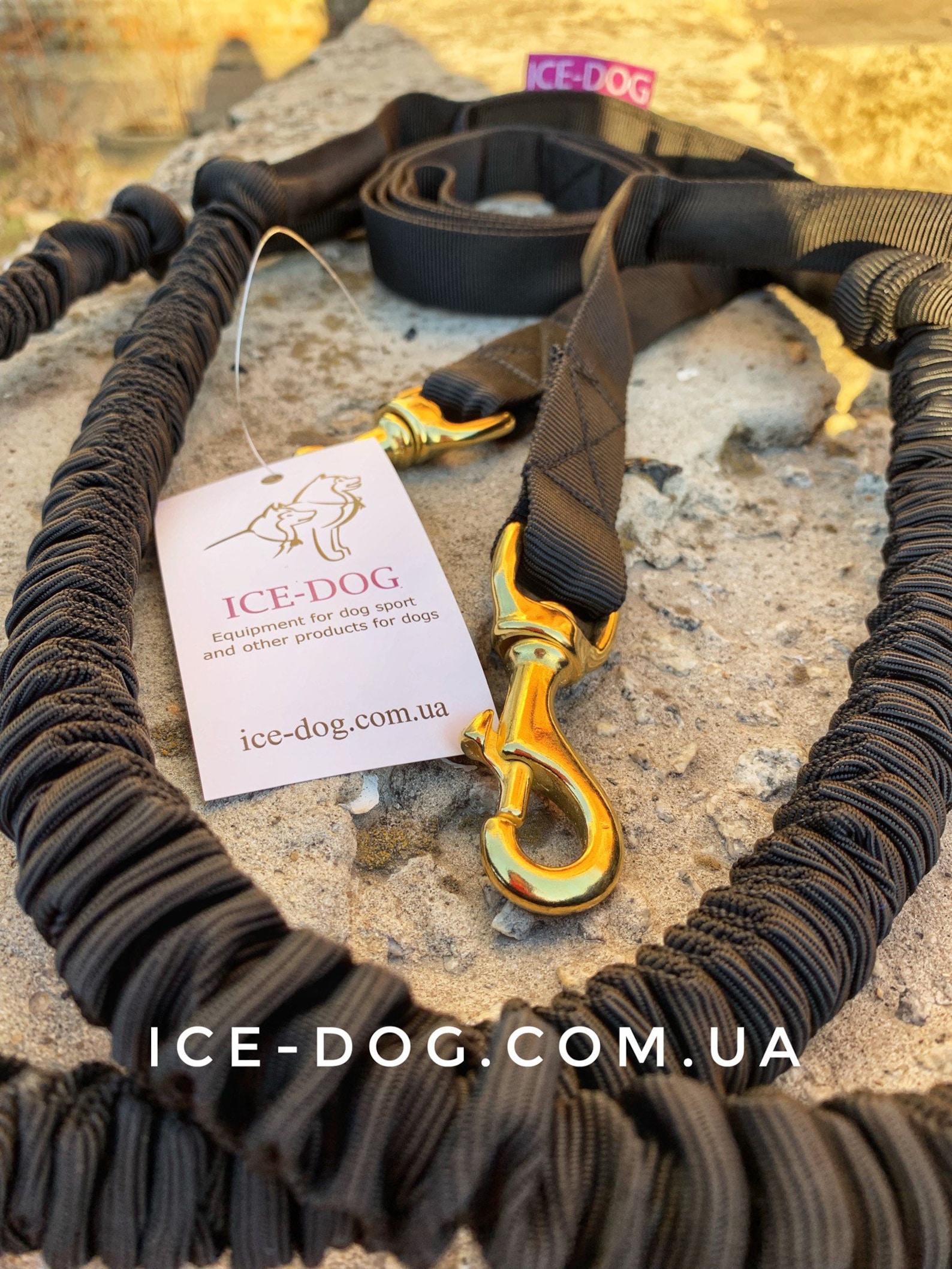 Bikejoring Tow Line Bungee Shock Absorber for Dog Lead for Two Dogs - Etsy
