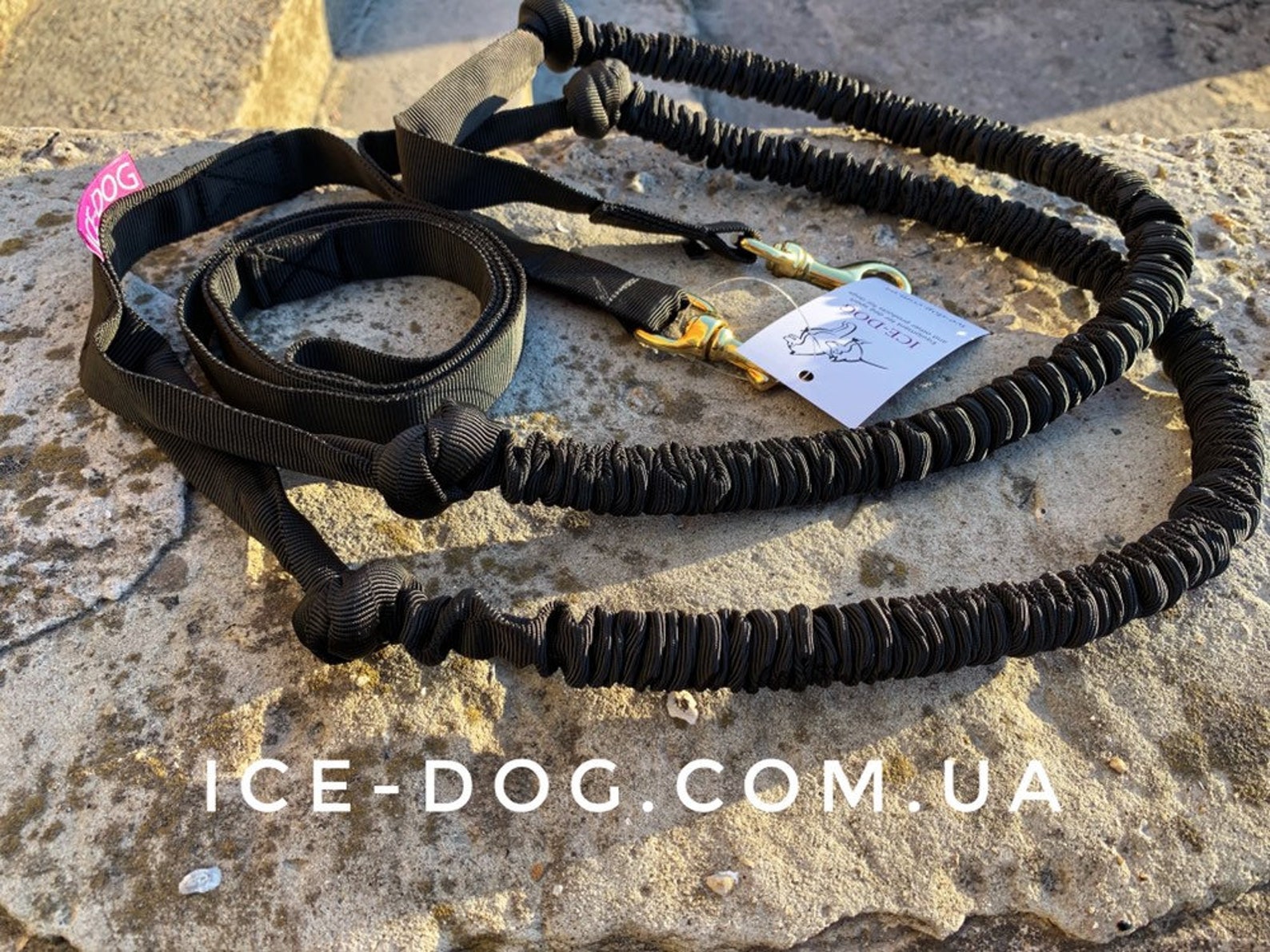 Bikejoring Tow Line Bungee Shock Absorber for Dog Lead for Two Dogs - Etsy