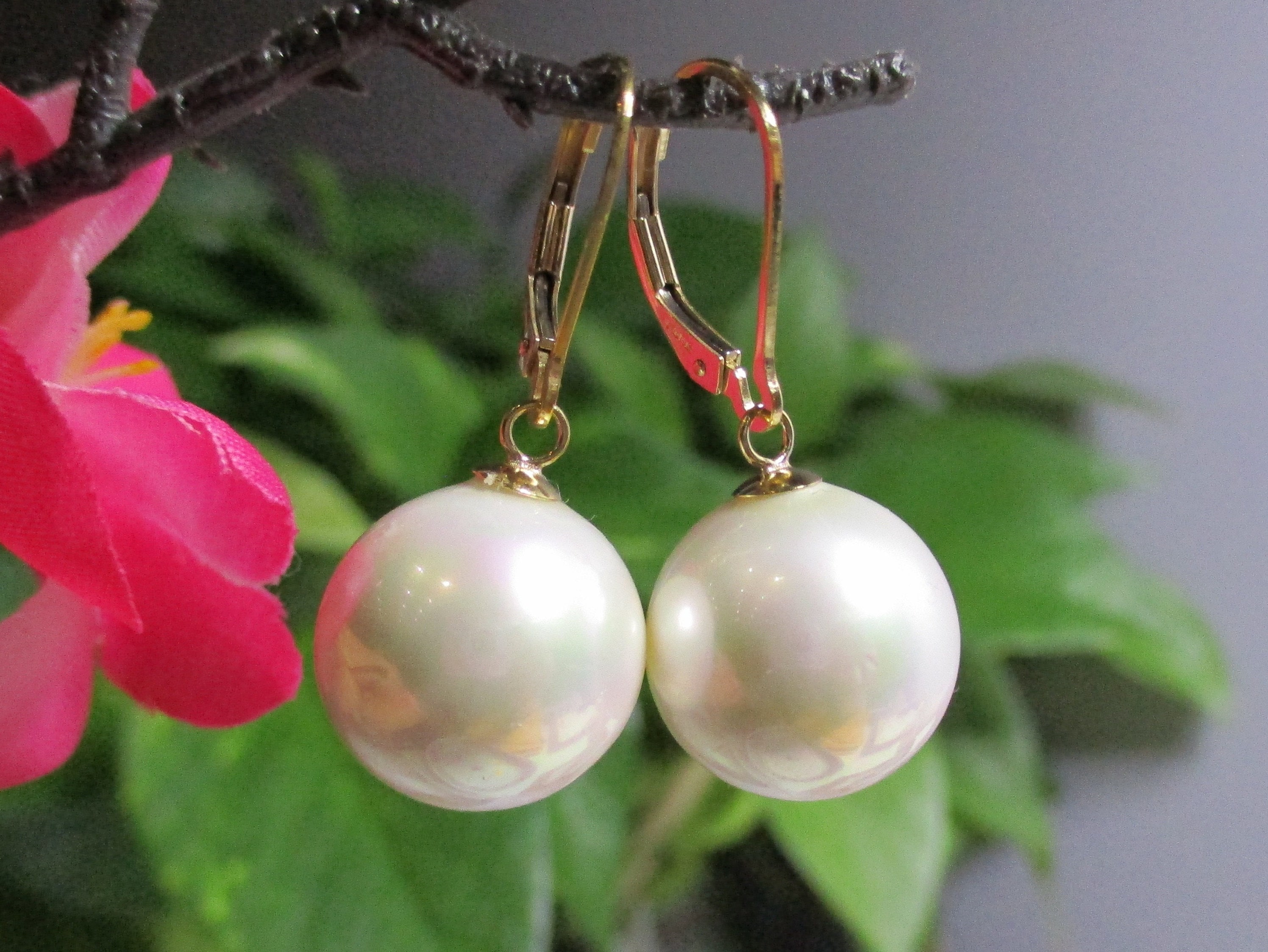 14K Gold Filled Elegant Big Round Drop Shell Pearl Earring, Lever Back ...