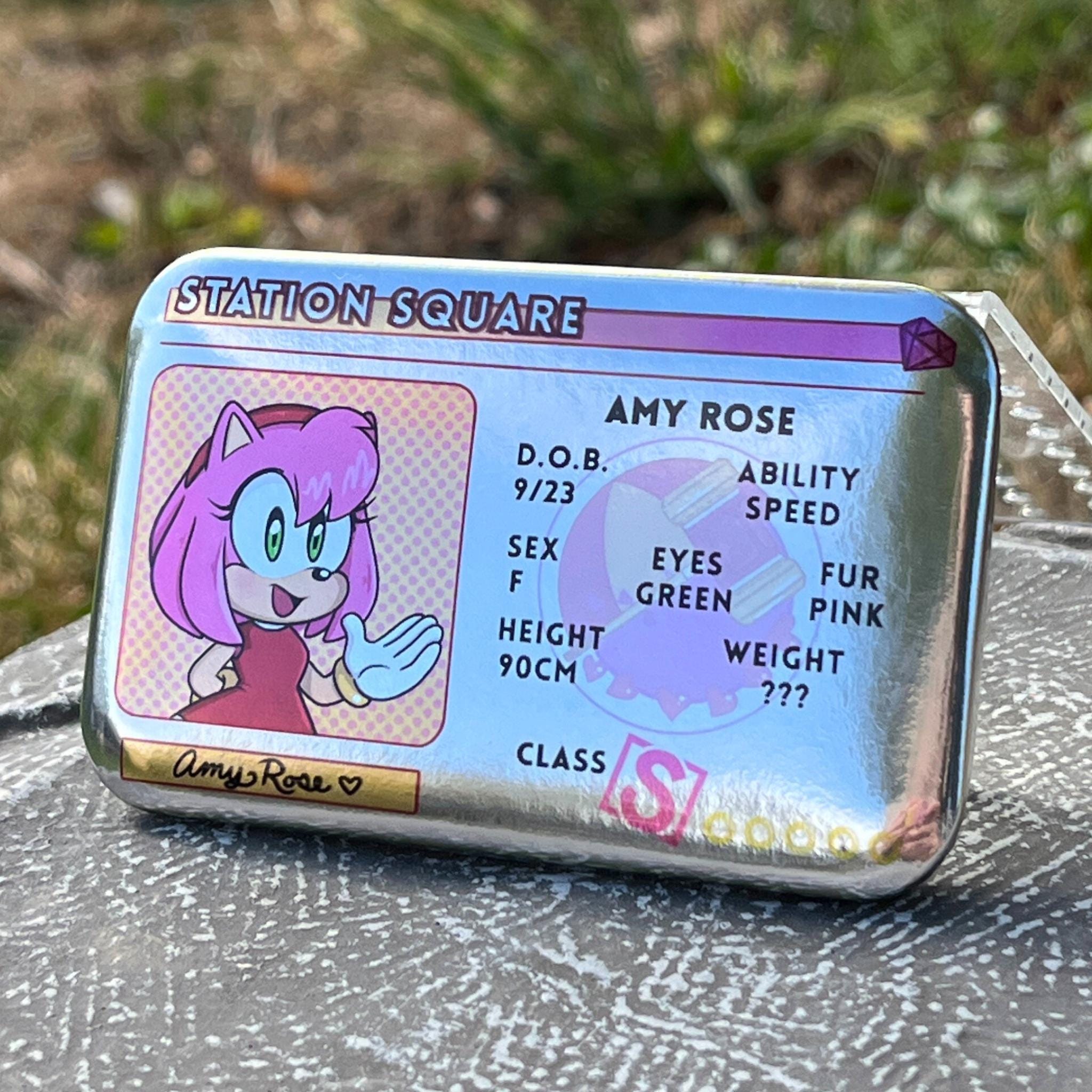 Rectangle Driver's License Badges Featuring Sonic, Knuckles, Tails ...