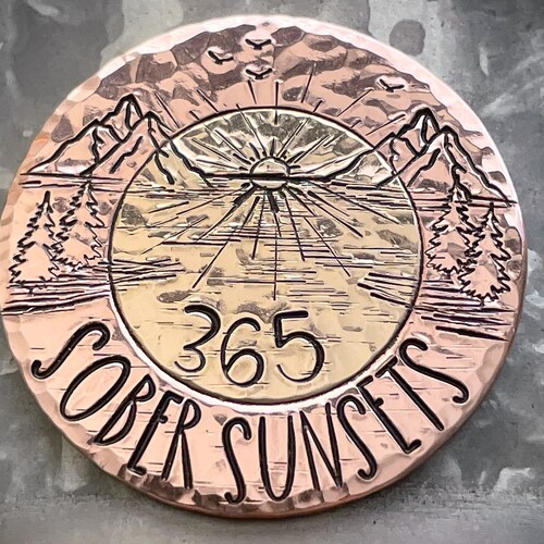 Recovery Chip Recovery Token - Etsy