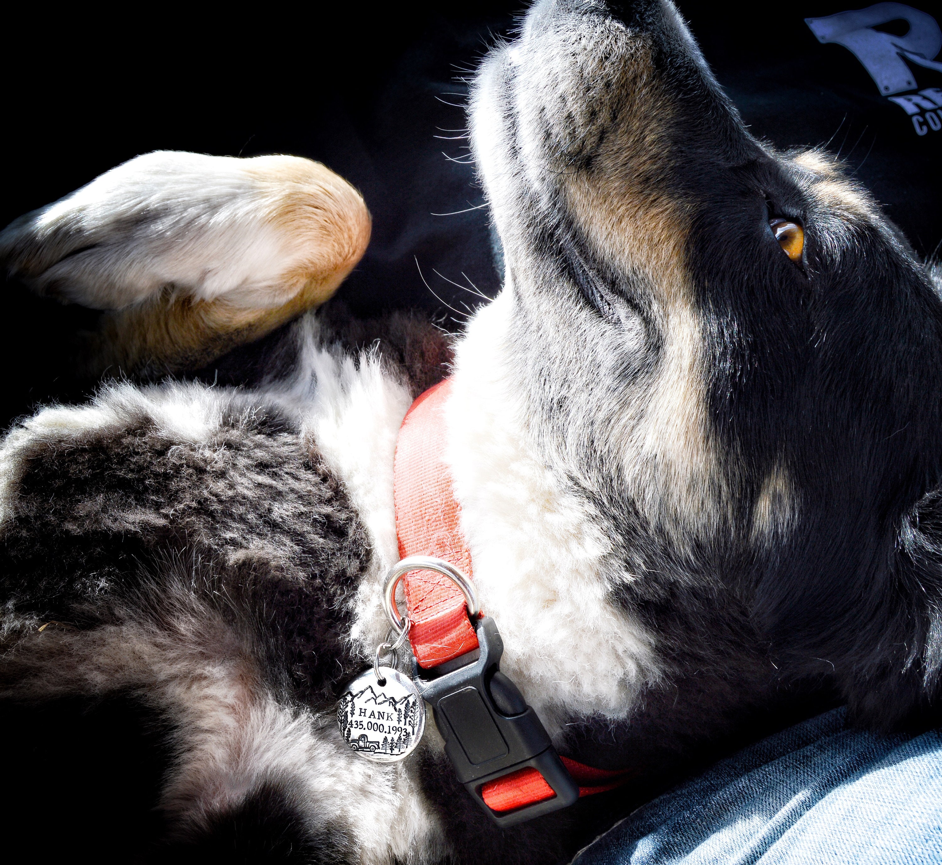 Pet ID Tag, Dog ID Tag, Pet Identification Tag, Personalized Pet Tag ...