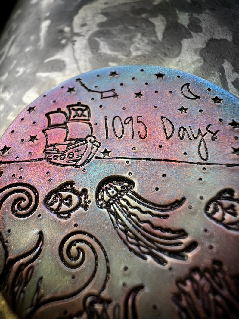 Recovery Chip Recovery Token - Etsy