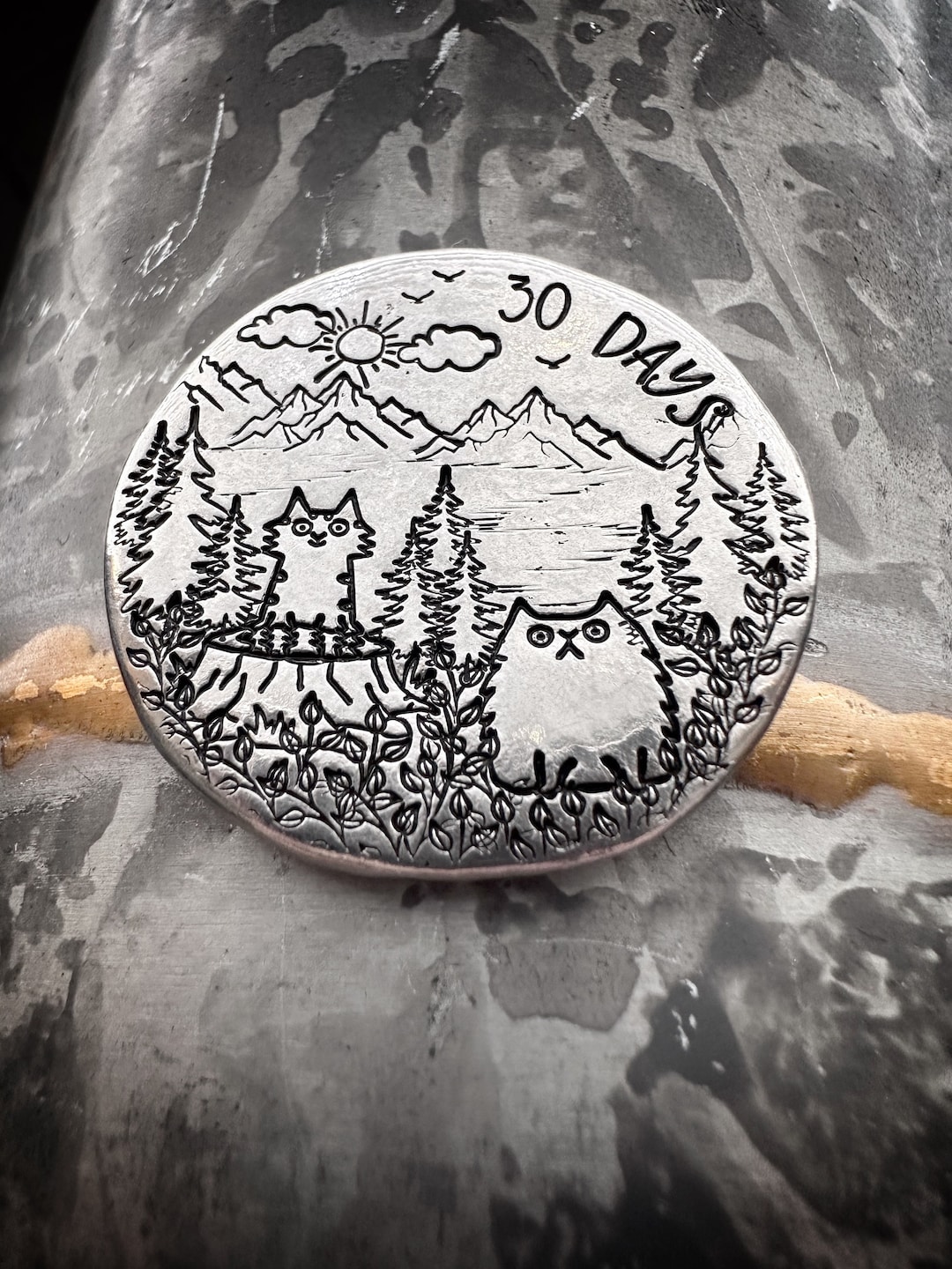 Sober Sister Kitty Sobriety Token, Sobriety Gift for Mom, Sobriety Gift ...