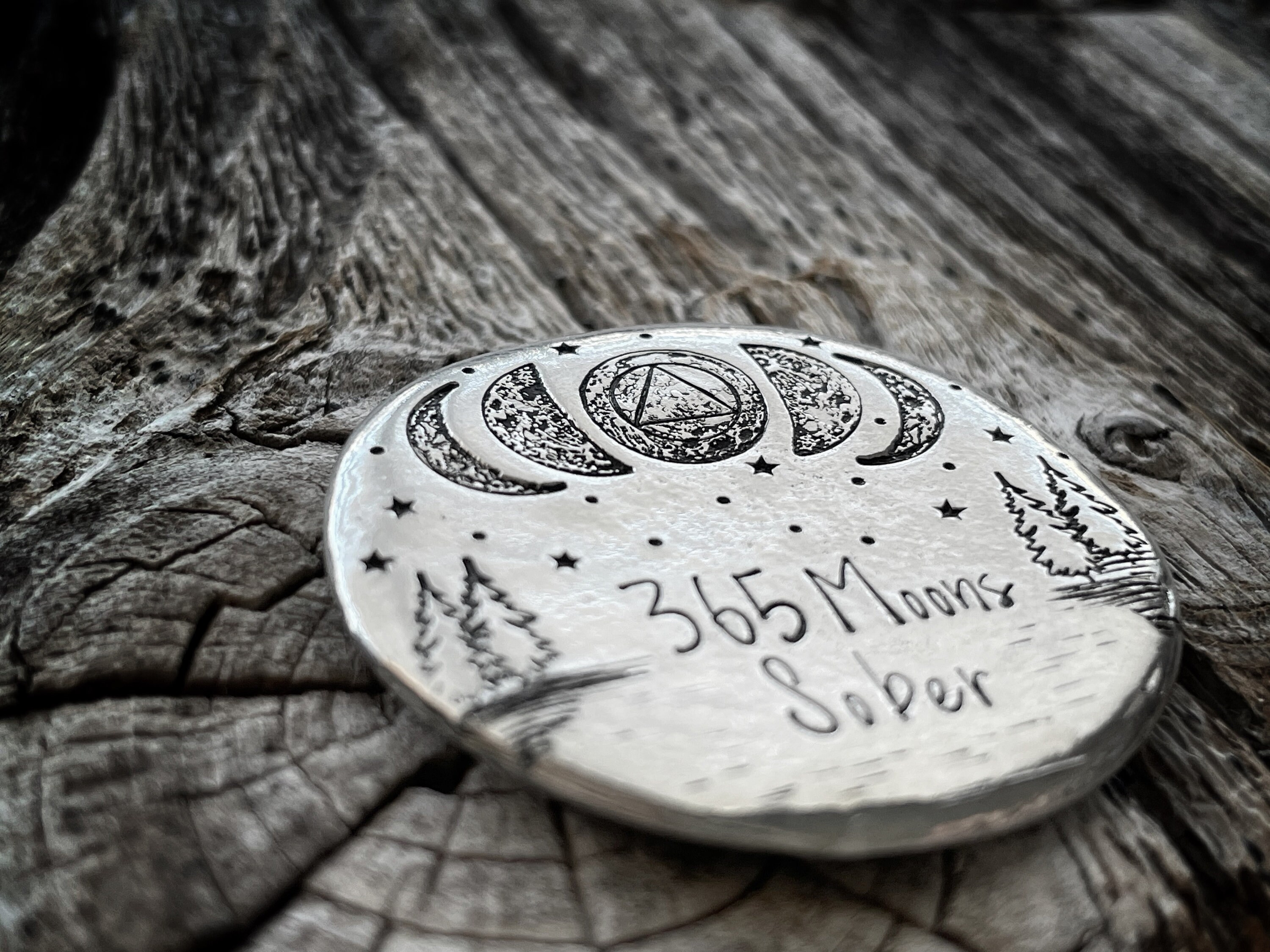 Recovery Chip Recovery Token | Etsy