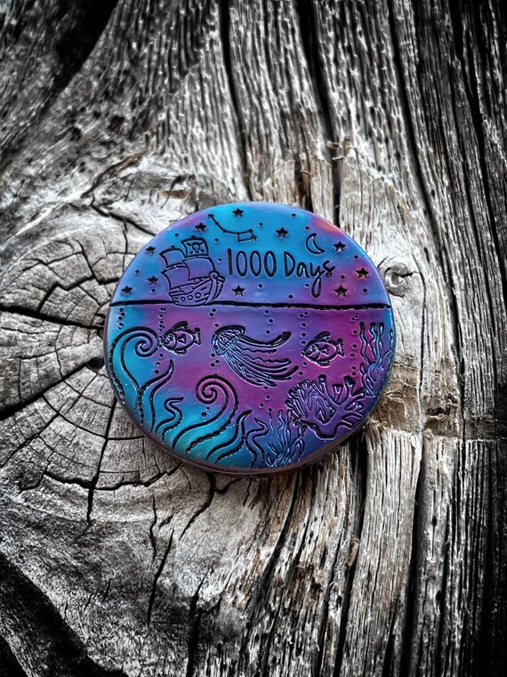 Recovery Chip Recovery Token | Etsy