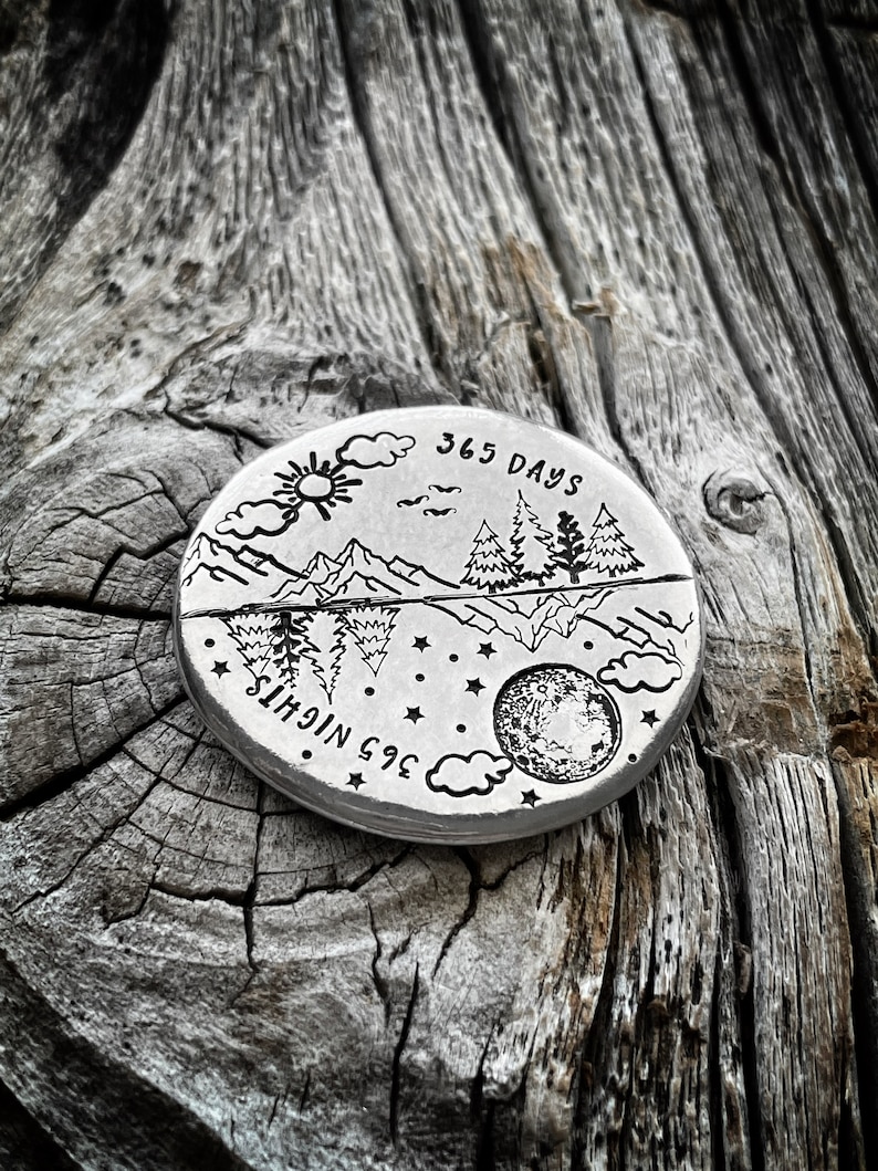 Recovery Chip Recovery Token - Etsy