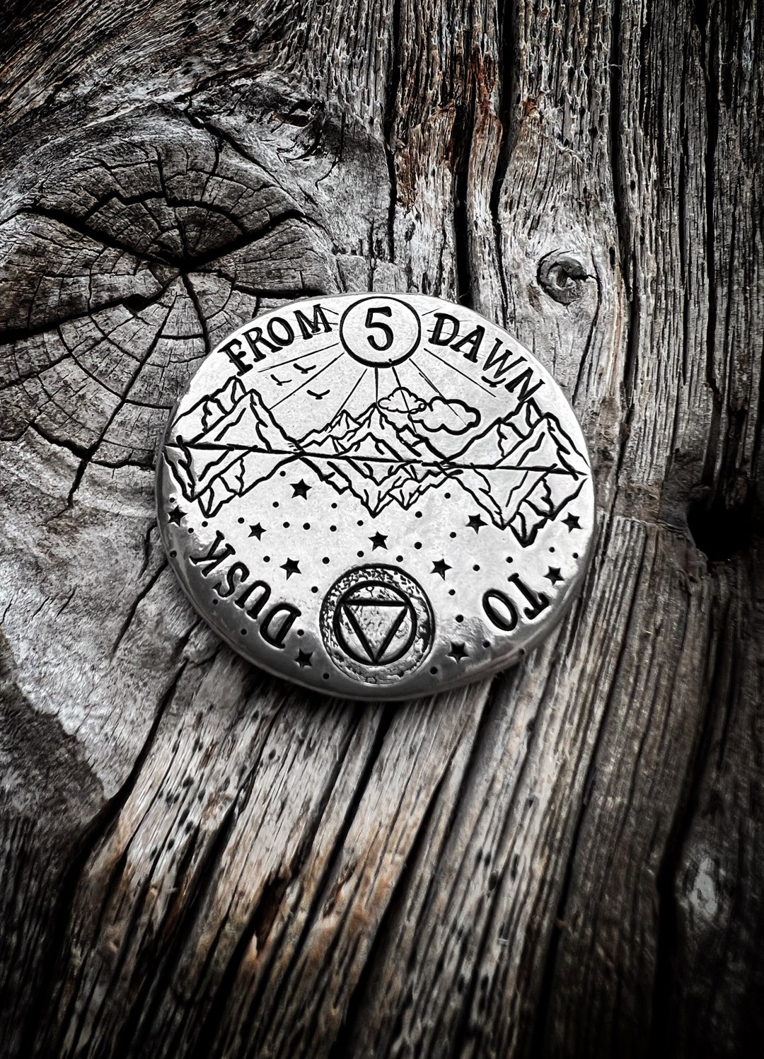 Recovery Chip, Recovery Token, Recovery Coin, Aa Medallion, Recovery ...