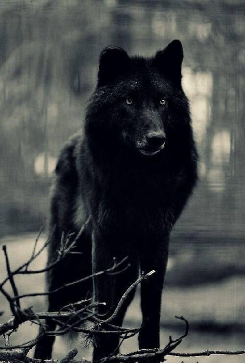 Black Wolf Faux Fur Coat for Men | Reversible Festival Jacket - Etsy