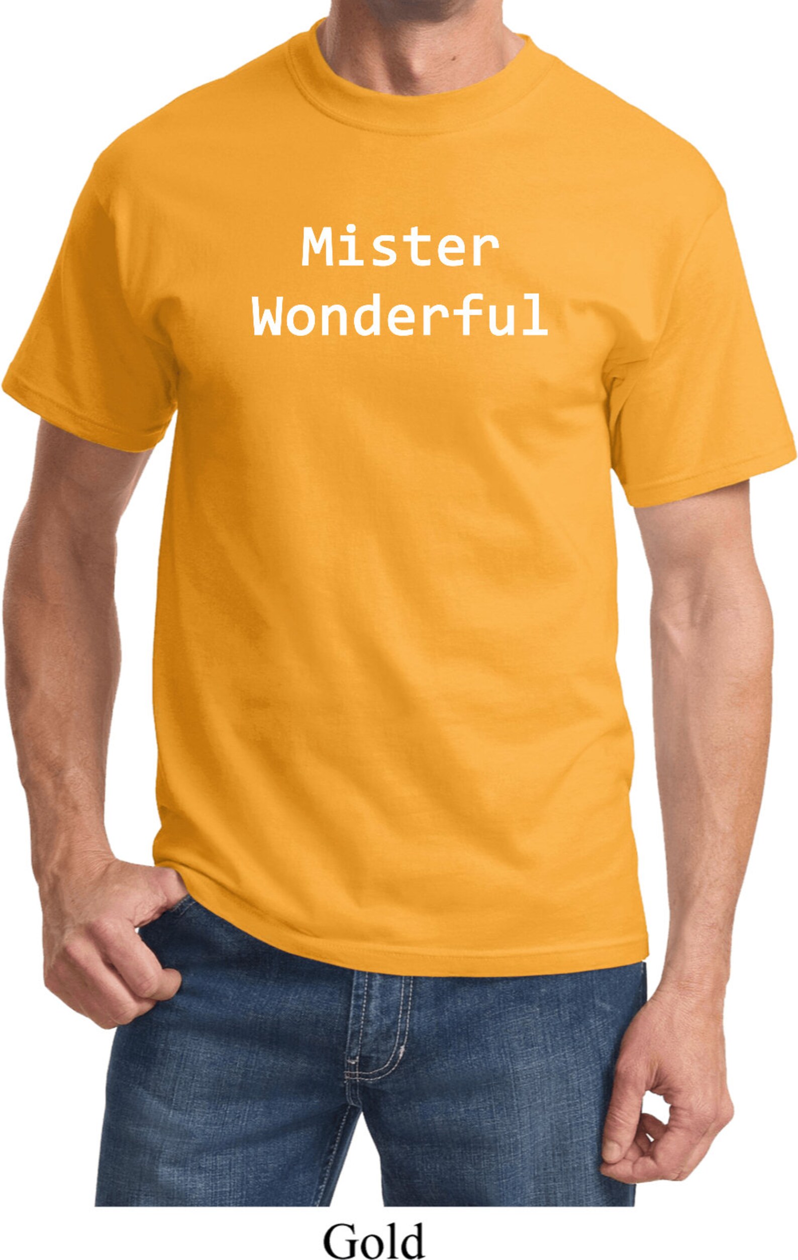 Mister Wonderful Tee T-shirt WONDERFUL-PC61 - Etsy