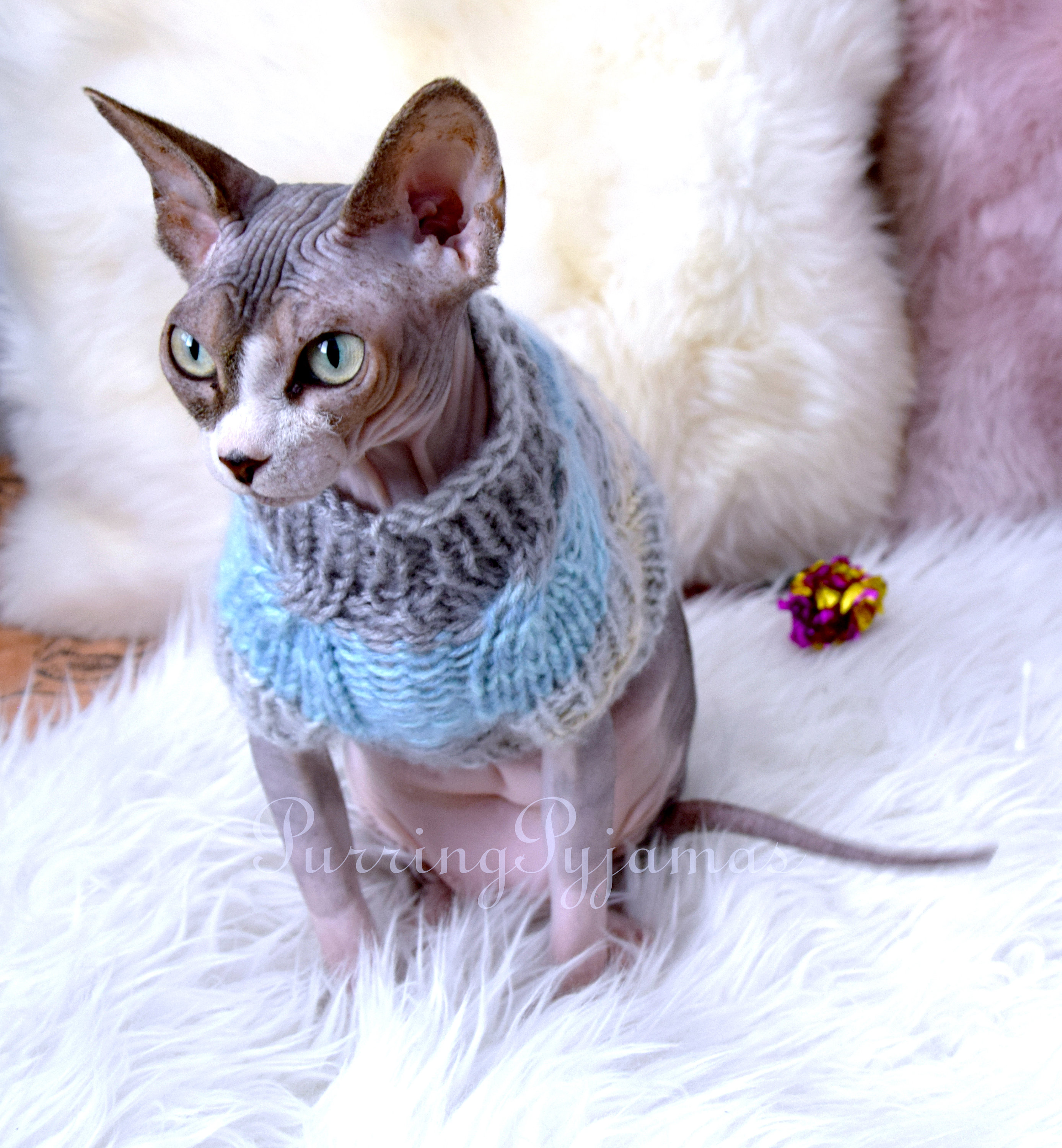 Katzenpullover Sphynx Pullover Katzenkleidung Sphynx | Etsy