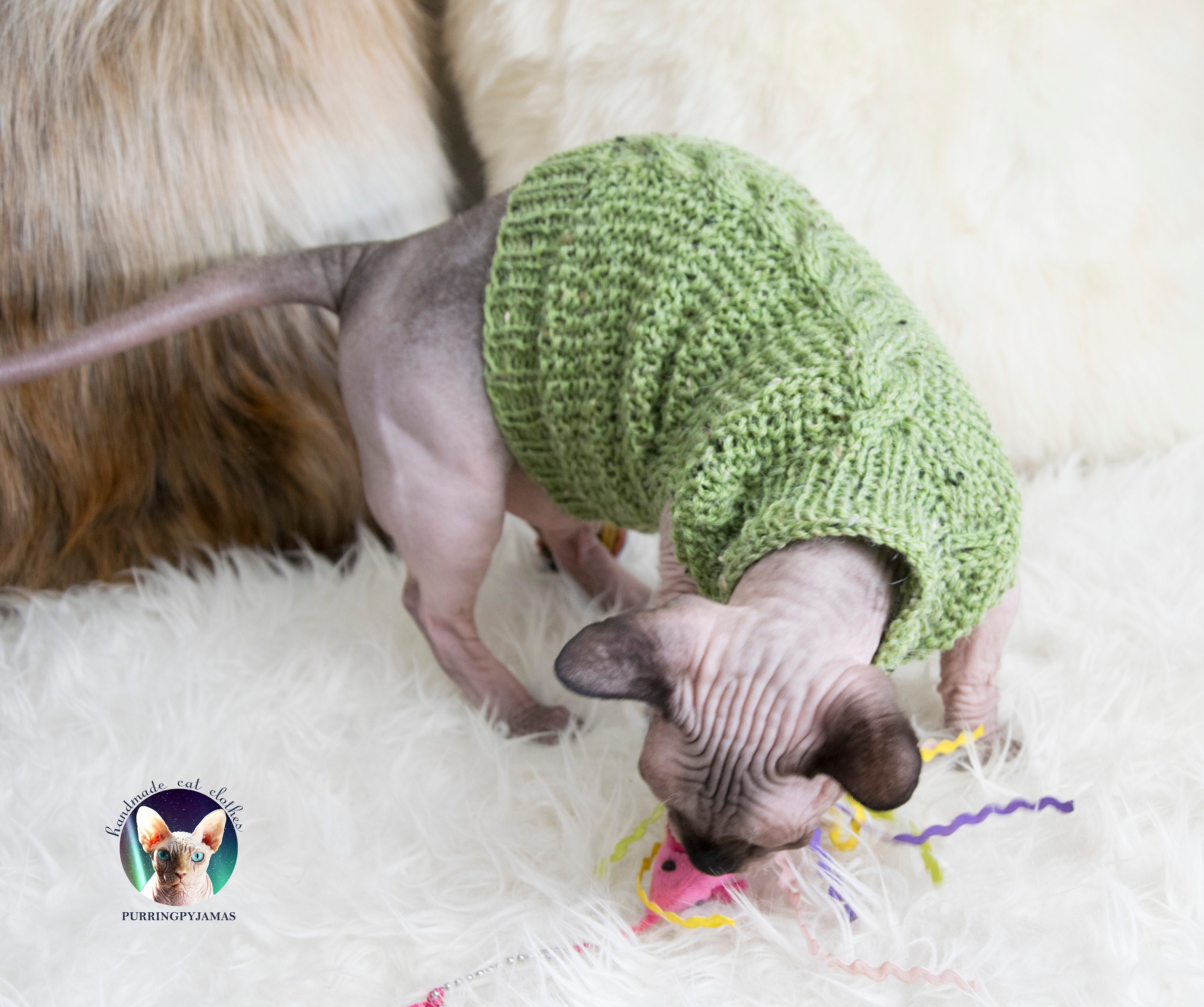 Green sphynx shirt green cat sweater soft cat sweater | Etsy