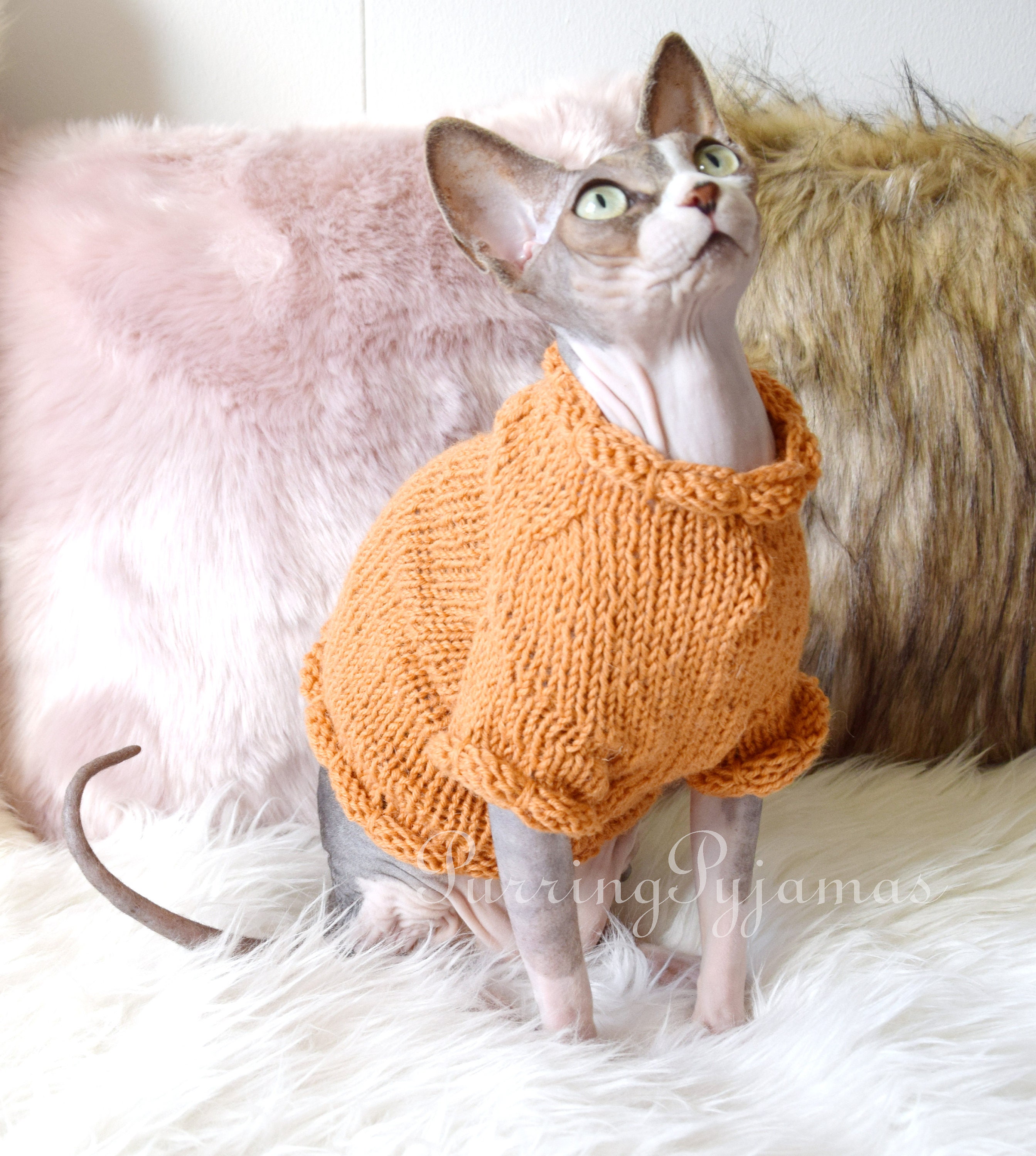 Cat clothes sphynx clothes clothes for sphynx sphynx | Etsy