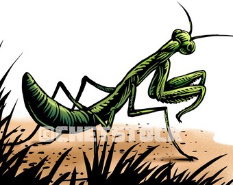 Praying mantis | Etsy