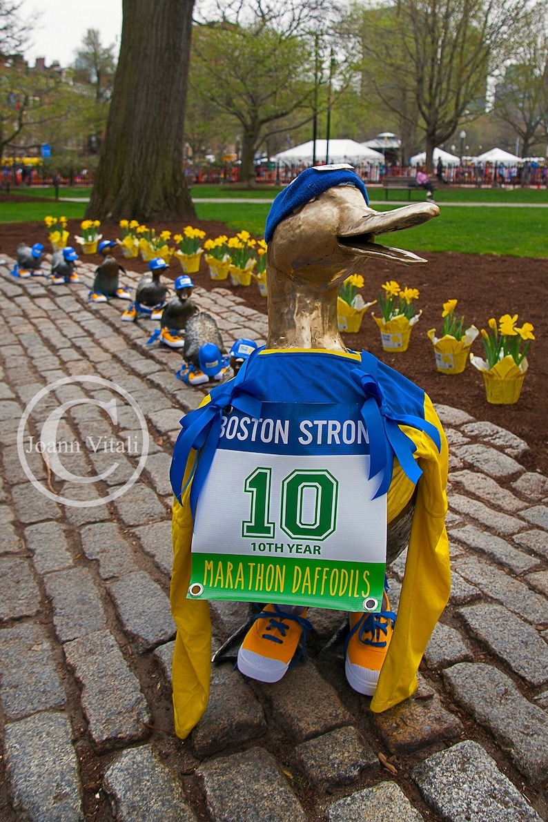 2023 Boston Marathon Make Way for Ducklings - Boston Public Garden ...