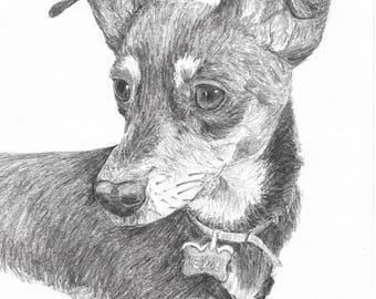 Custom pet drawing | Etsy