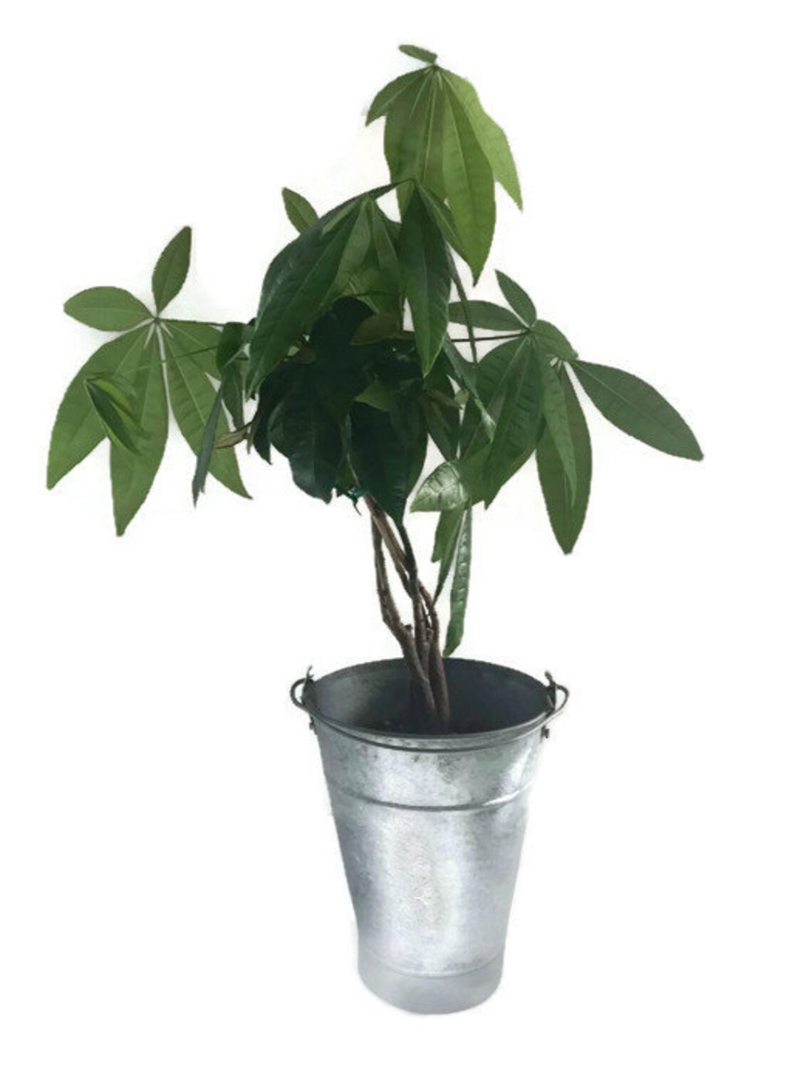 Vintage Tin Bucket / Pail Unique Shape Narrow Bottom Rustic - Etsy