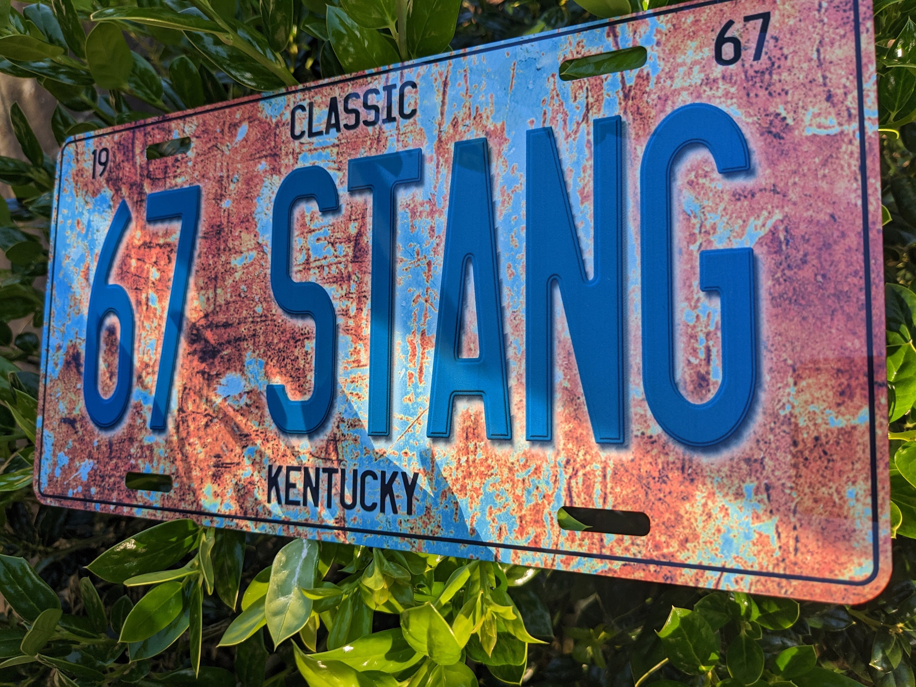 Mustang Car Tag - Custom - Etsy