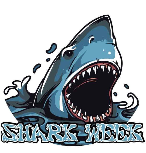 Shark Week PNG - Etsy