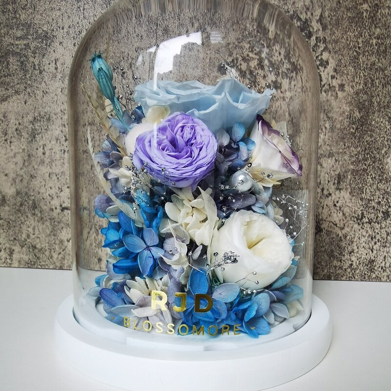 Rose in Glass Dome - Etsy