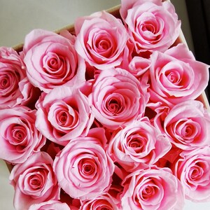 16 Eternal Roses/ Preserved Roses/preserved Rose Box/long Lasting Roses ...