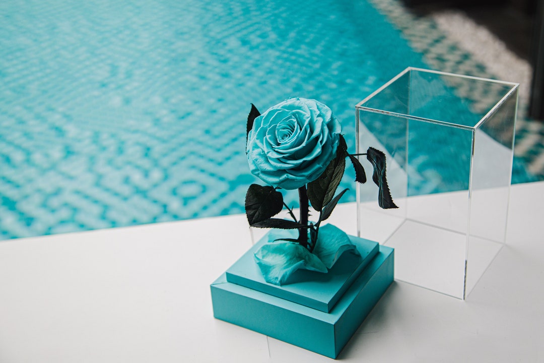Eternal Roses/ Preserved Roses/preserved Rose Box/long Lasting Roses ...