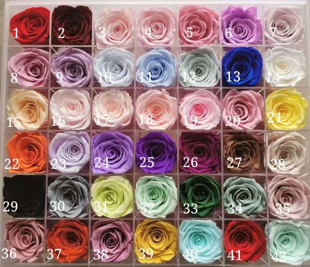 2-3 Cm Preserved Roses Wholesale/eternal Roses/preserved Rose Box ...
