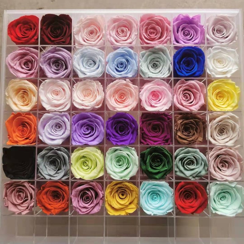 Preserved Roses Case - Etsy