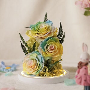 Eternal Roses/ Preserved Roses/preserverd Flowers/eternal Flower ...