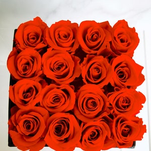 16 Eternal Roses/ Preserved Roses/preserved Rose Box/long Lasting Roses ...