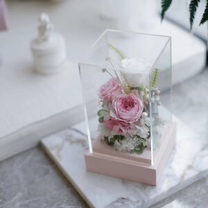 Eternal Roses/ Preserved Roses/preserved Rose Box/long Lasting Roses ...