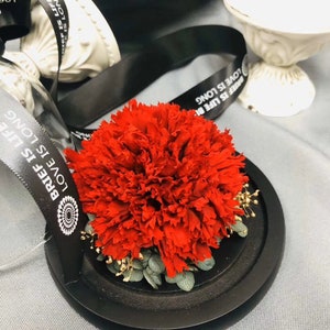 Eternal Carnation/ Preserved Carnation/preserved Flowers/eternal Flower ...