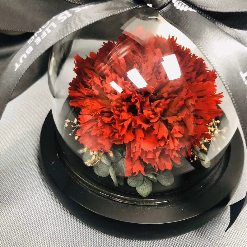 Eternal Carnation/ Preserved Carnation/preserved Flowers/eternal Flower ...