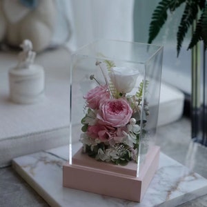 Eternal Roses/ Preserved Roses/preserved Rose Box/long Lasting Roses ...