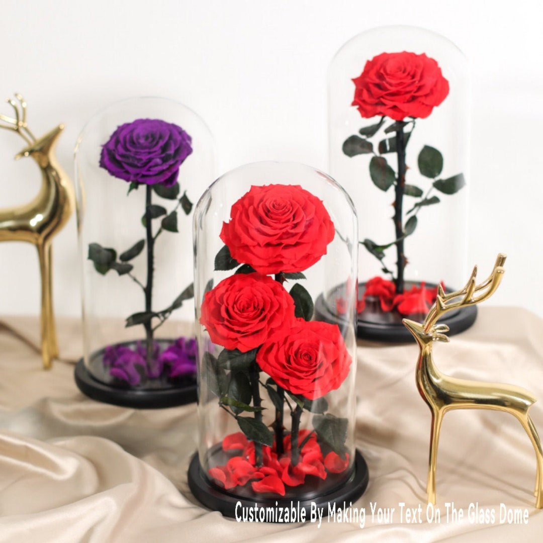 Eternal Roses/ Preserved Roses/preserved Rose Box/eternal Roses Beauty ...