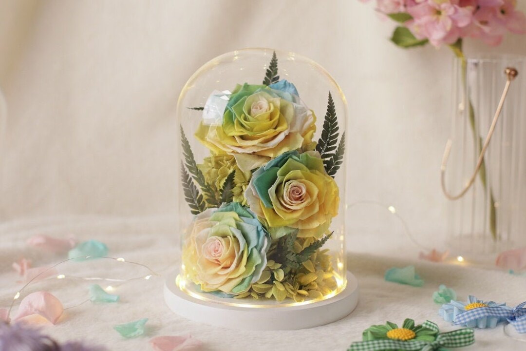 Eternal Roses/ Preserved Roses/preserverd Flowers/eternal Flower ...