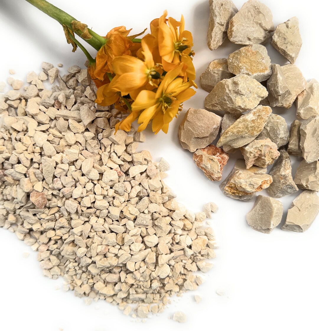 Holy Land Rocks for DIY Projects: Natural Jerusalem Stone, Small Crafts ...