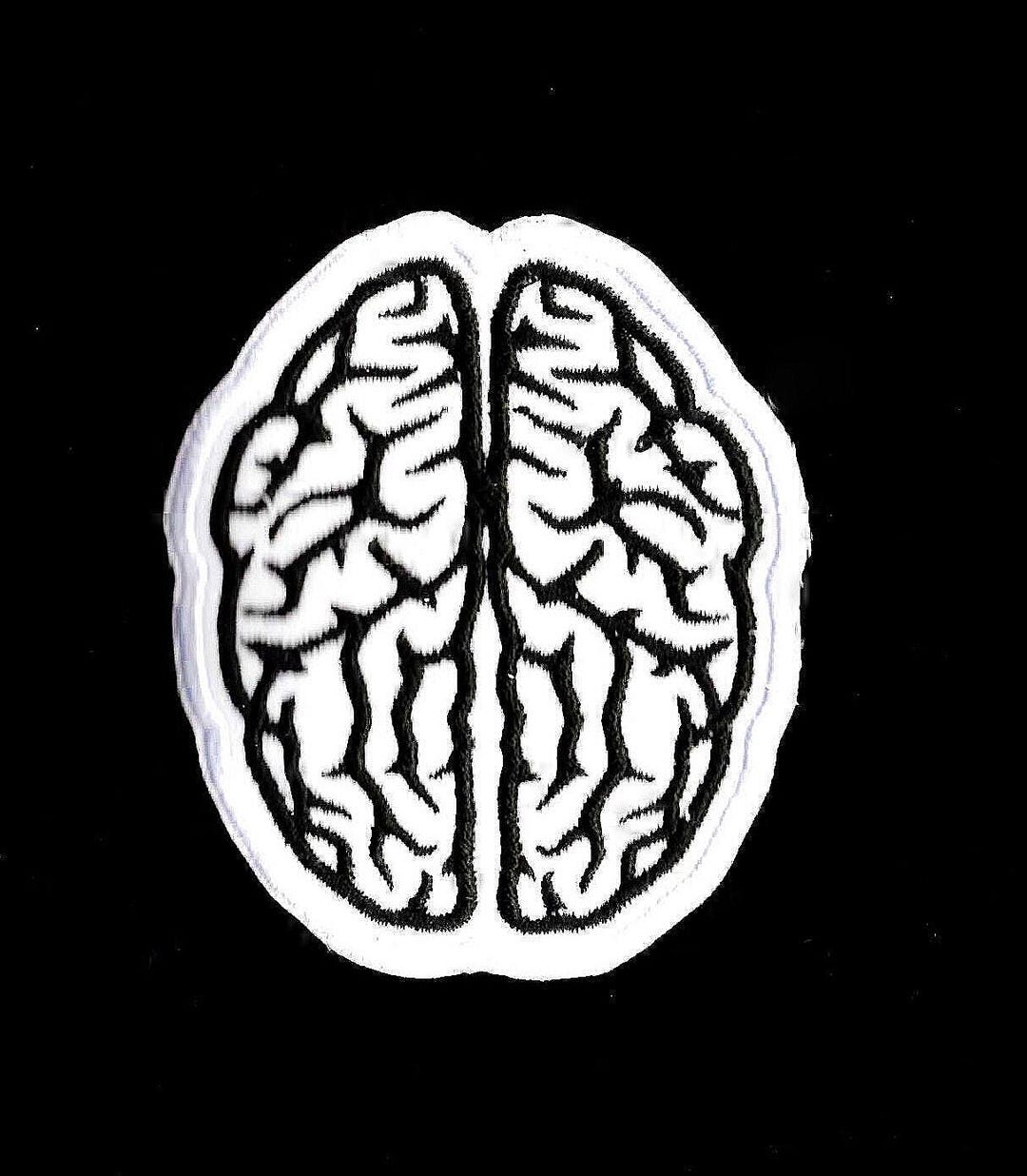 Brain Patch Embroidered Iron on Fabric Anatomy Patch by ...