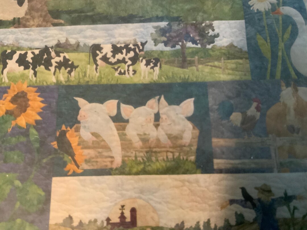Storybook Farm Block 6 Kit - Etsy