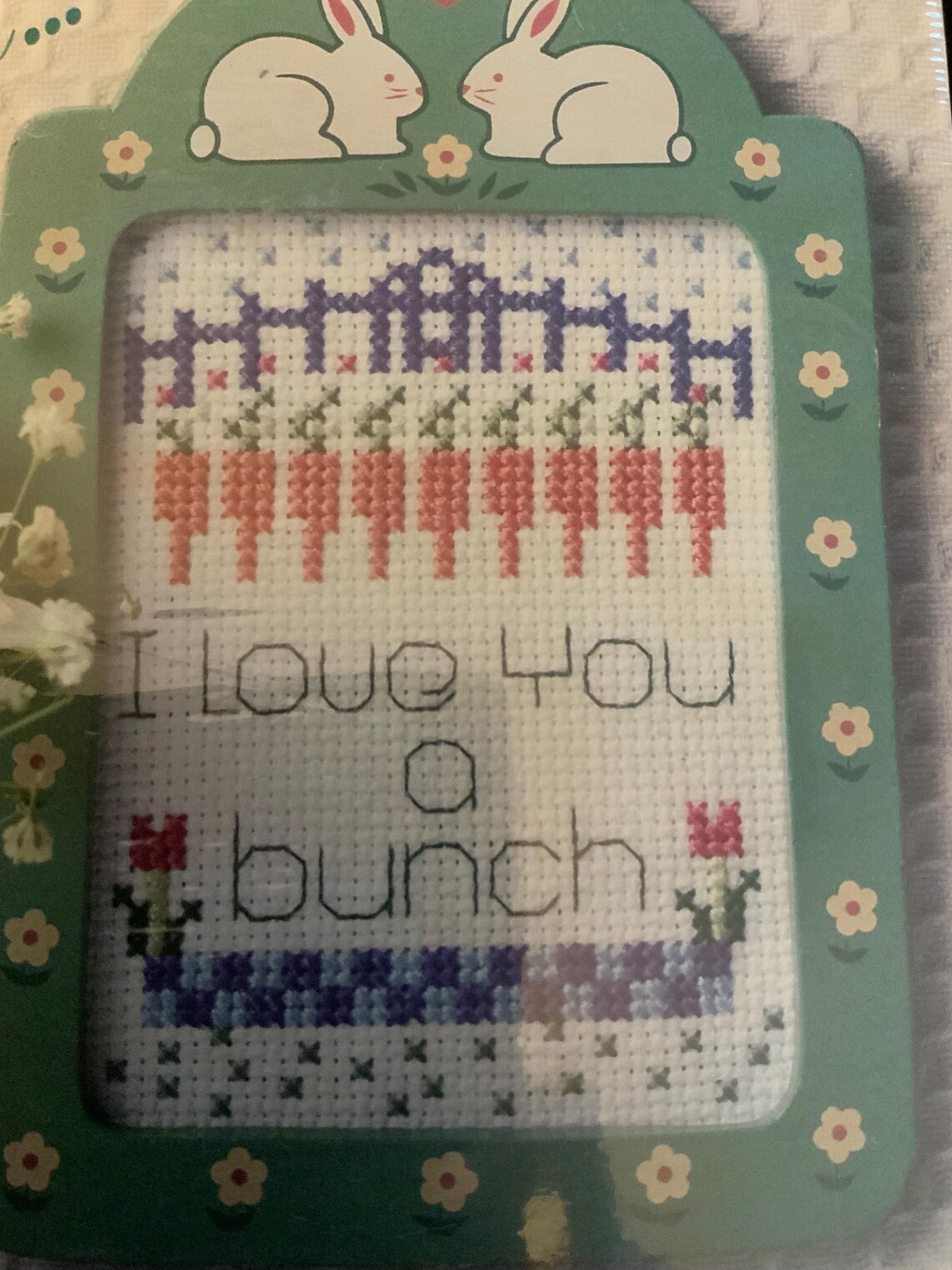 Bunny Rabbit Frames Cross Stitch Kit - Etsy