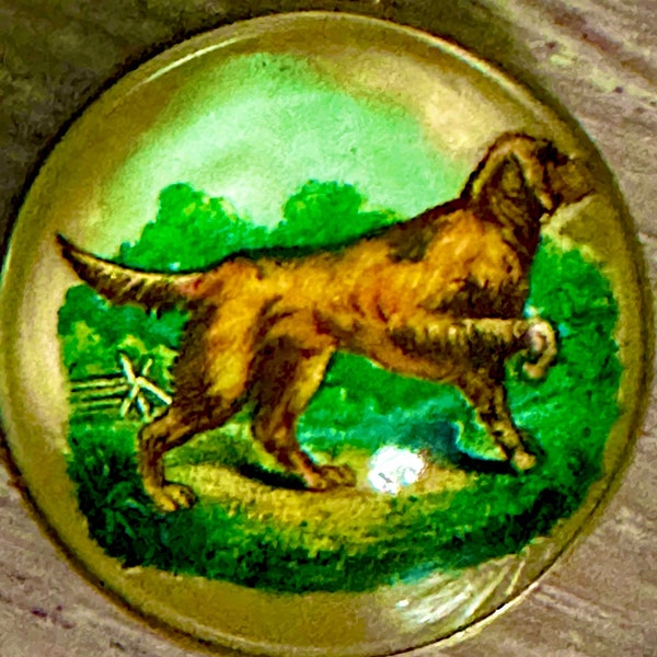 Antique Horse Bridle - Etsy