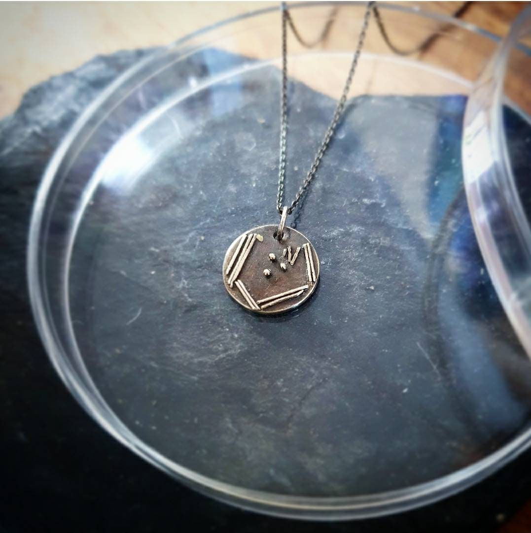 Microbiology Petri Dish Oxidised Sterling Silver Charm - Etsy