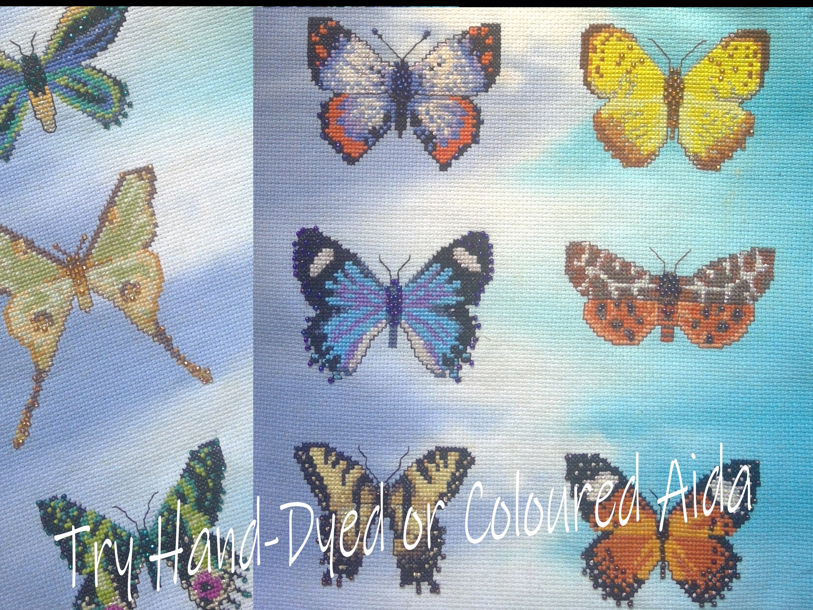 Ulysses Butterfly Cross Stitch Pattern: Insect Embroidery (PDF Pattern ...