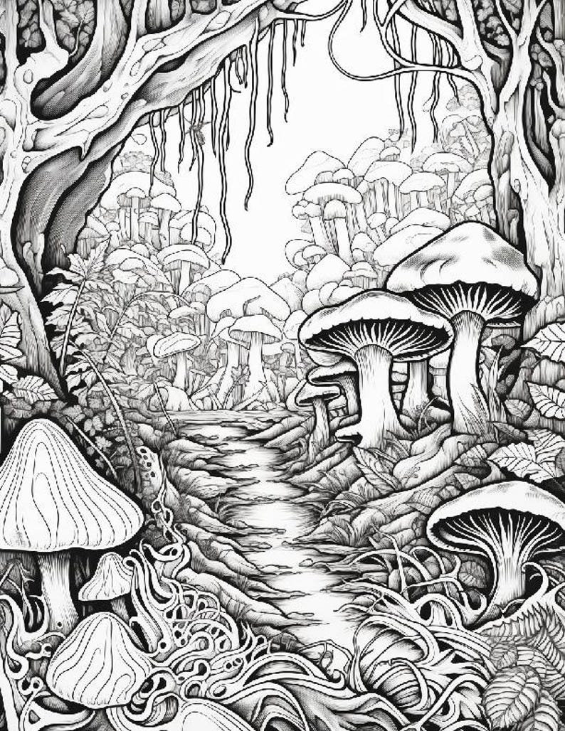 240 Enchanted Forest Coloring Book, Coloring Pages, Children, Adults ...