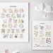 Animal Alphabet Print Alphabet and Numbers Poster Instant - Etsy