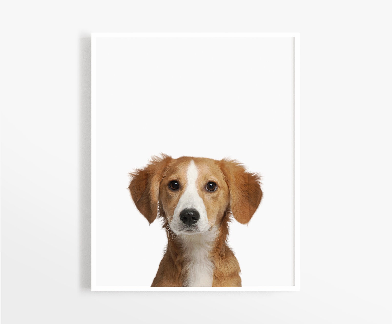Puppy Dog Prints, Nursery Puppy Print, Animal Nursery Art, Baby Animal ...