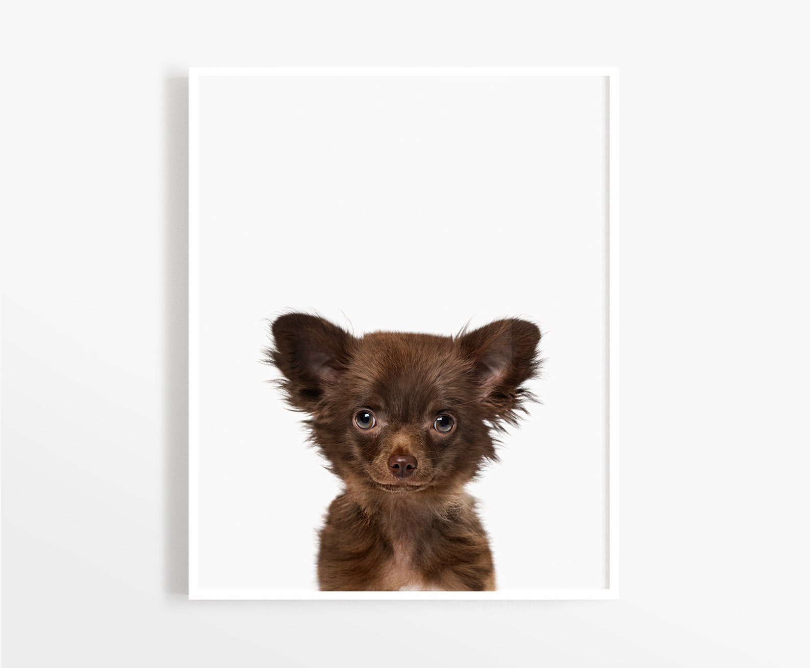 Puppy Dog Prints, Nursery Puppy Print, Animal Nursery Art, Baby Animal ...
